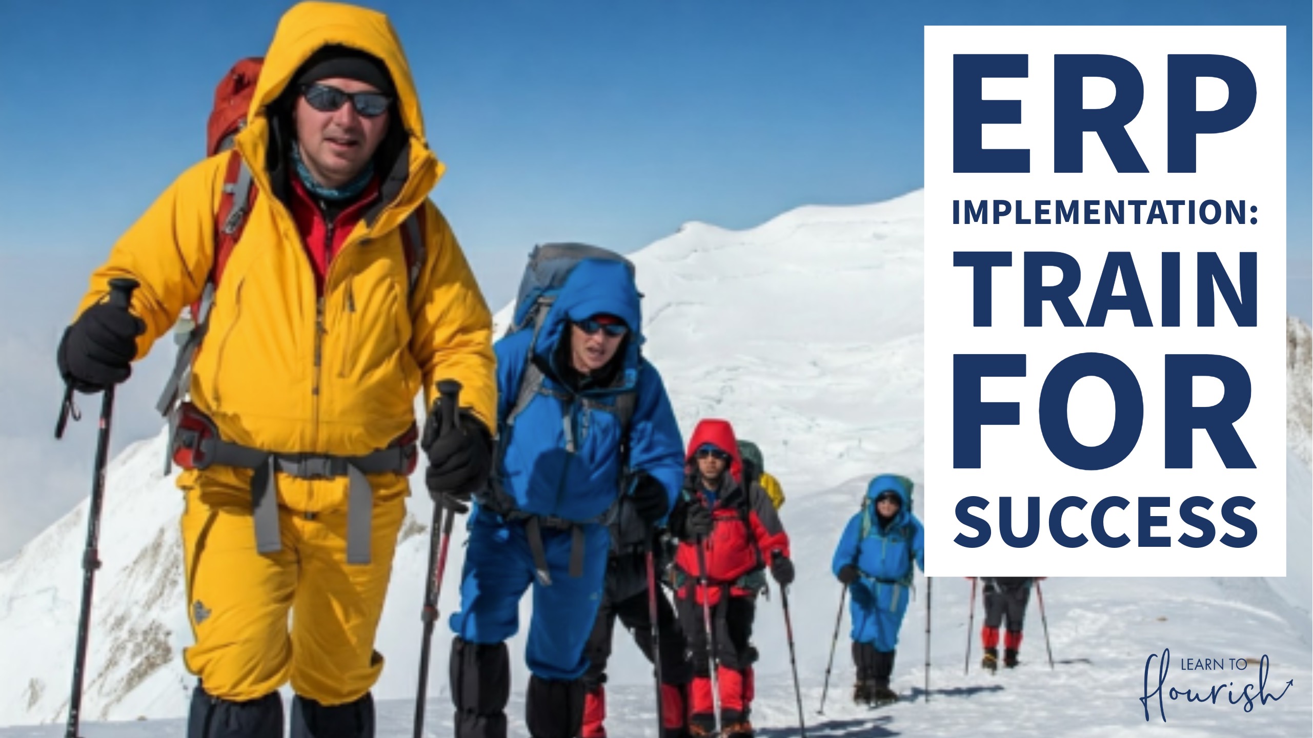 ERP Implementation Training: A Guide to Successful Adoption - Learn to ...